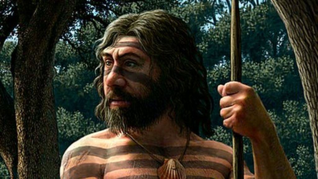 DNA reveals Neanderthal extinction clues - BBC News