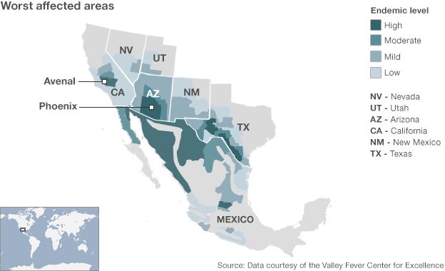 Valley Fever Arizona Map