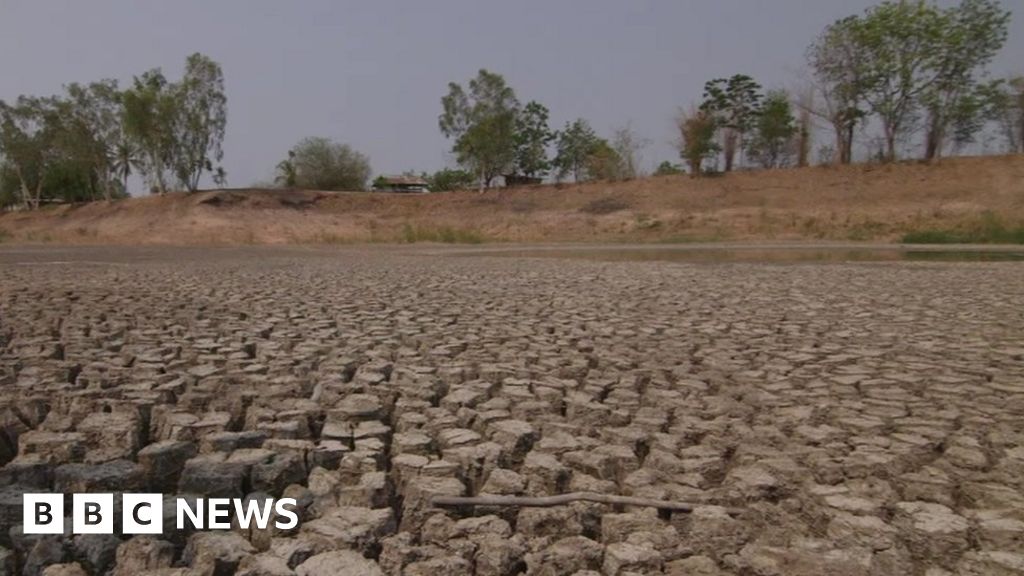 Thailand faced with worst drought in decades - BBC News