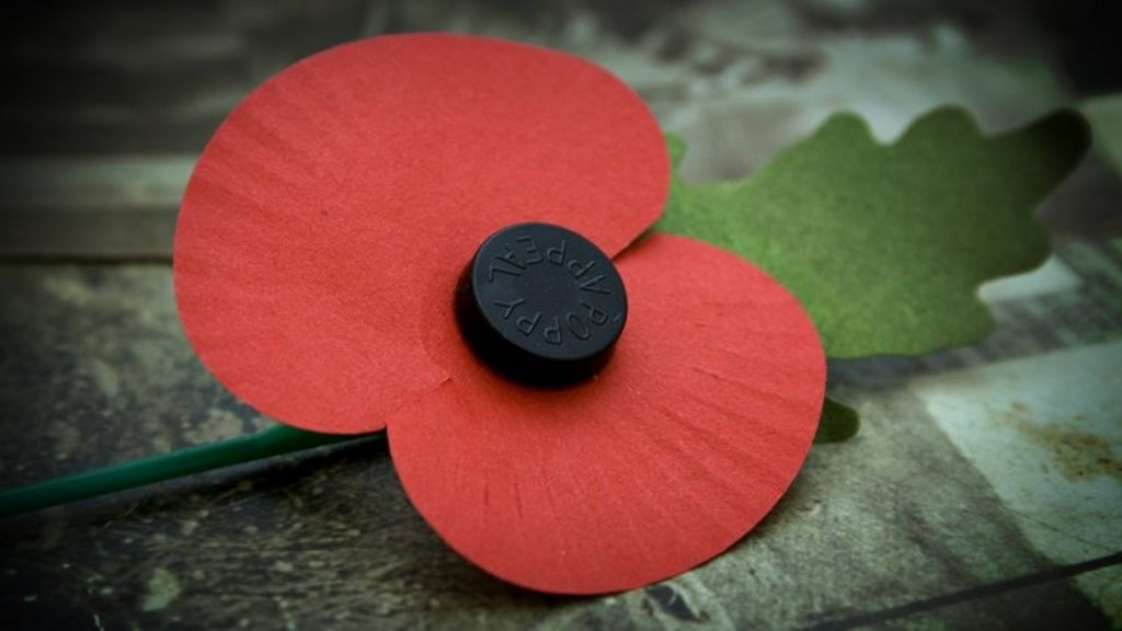How the poppy tradition began - BBC News