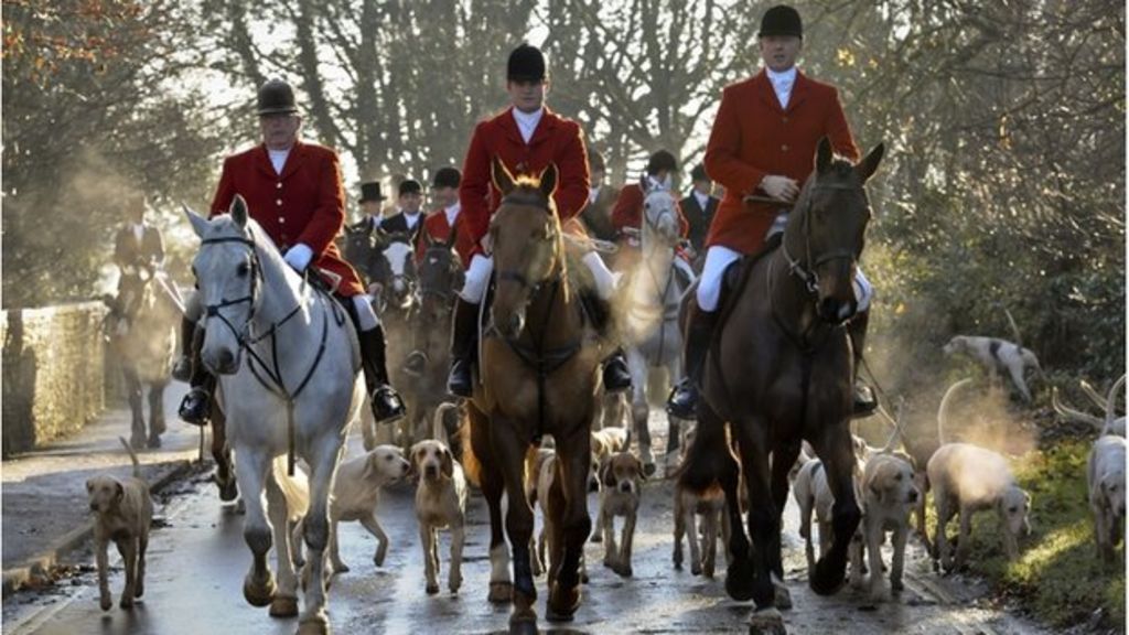 SNP will vote to keep English fox hunting legislation - BBC News