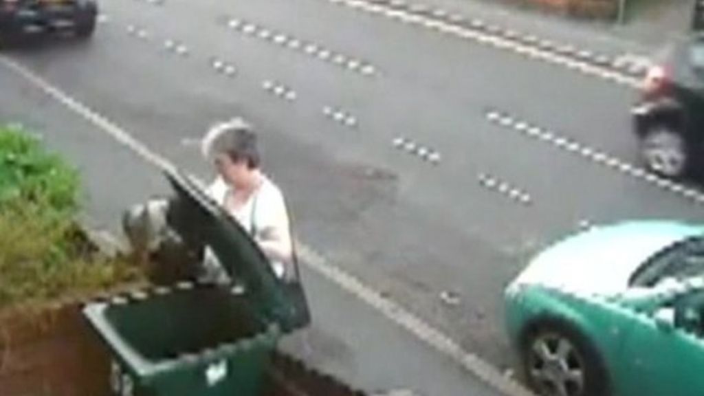 Coventry cat bin dump woman Mary Bale fined for cruelty - BBC News
