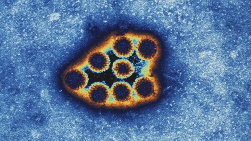 Ancient virus DNA thrives in us - BBC News