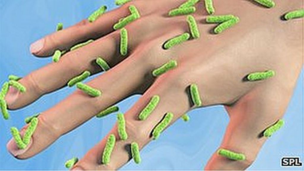 Human Microbiome Project reveals largest microbial map - BBC News