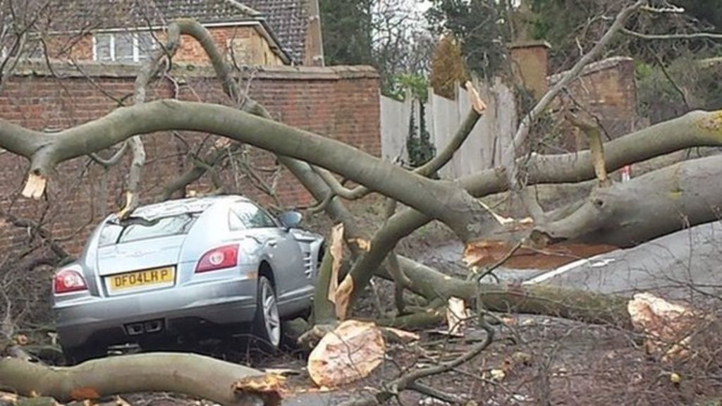 UK storm: Damage across counties in the East - BBC News