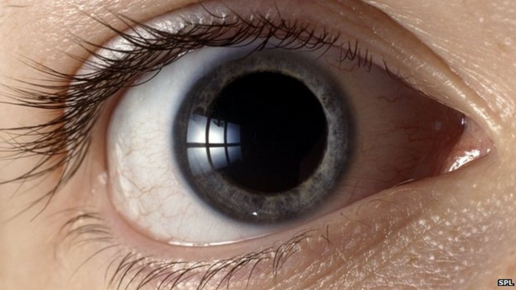 Drug Lets Blind Eyes see Light BBC News
