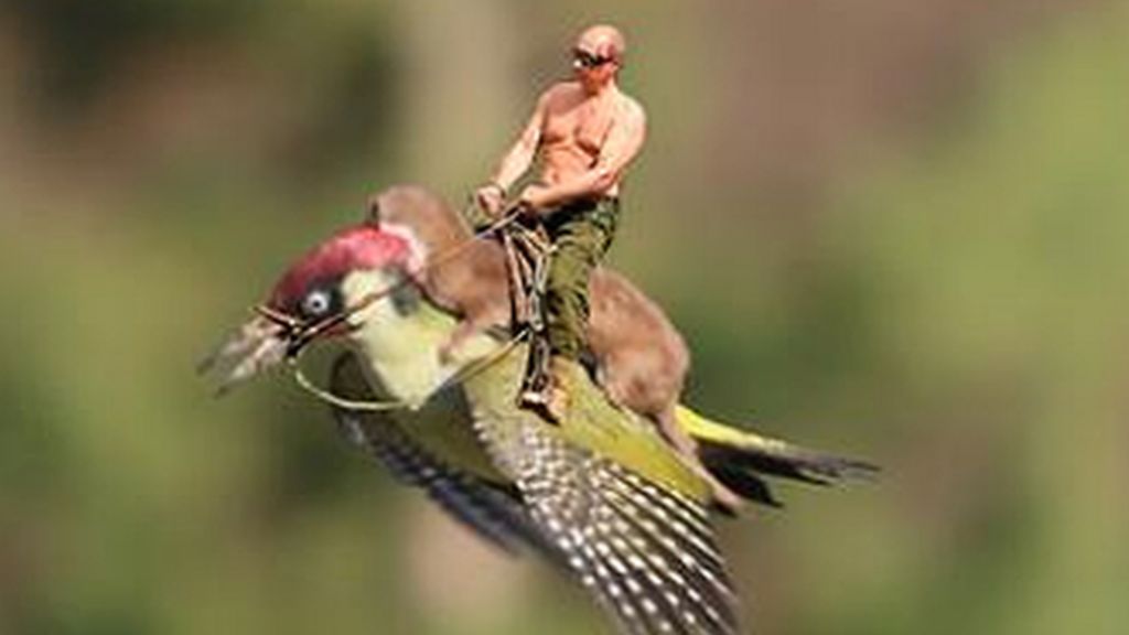 Vladimir Putin: Where has Putin been? The best of the memes - BBC News