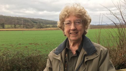 Blanche Parry's life at the side of Queen Elizabeth I