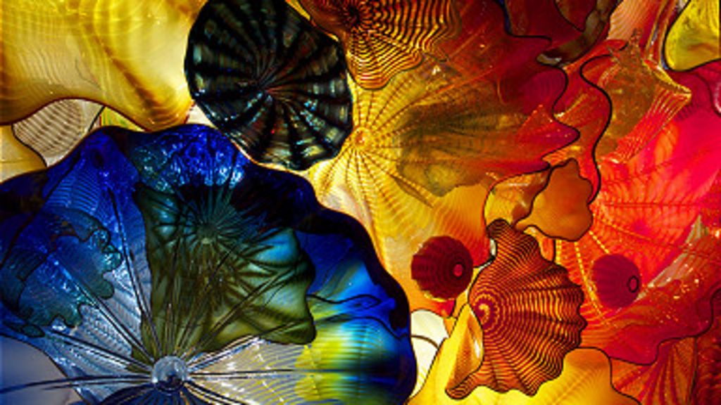 El mundo translúcido en fotos - BBC Mundo